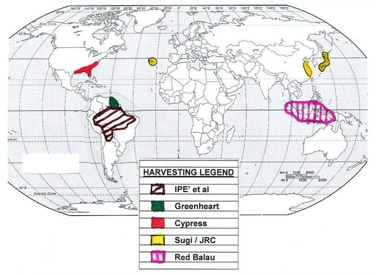 Company - Lumber Timber Group Inc.Lumber Timber Group Inc. | This is ...